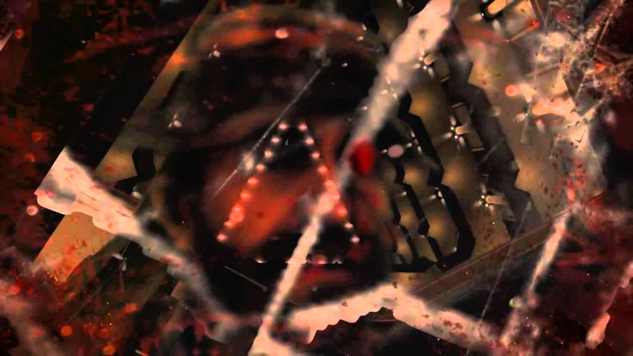 call of duty cat - YouTube