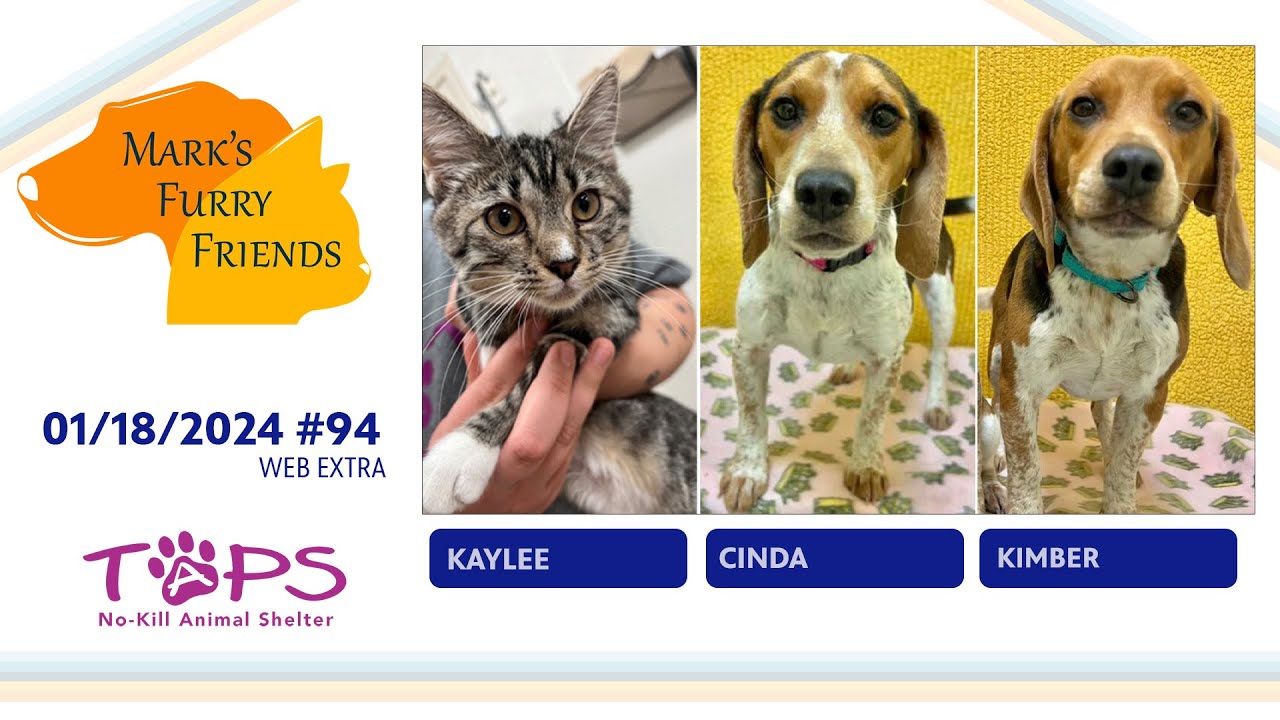 01/18/2024 | Kaylee, Cinda and Kimber | Mark's Furry Friends EXTRA ...