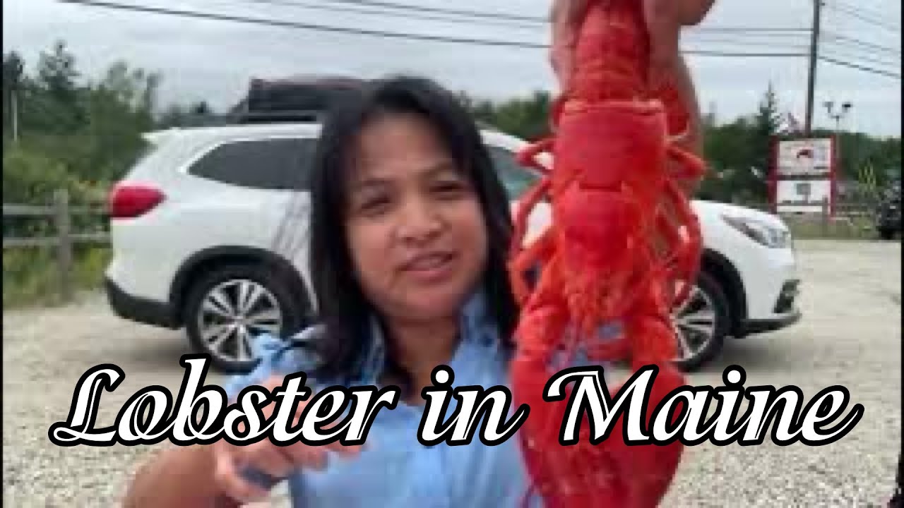 Thưởng thức Đặc sản Tôm Hùm ở tiểu bang Maine - YouTube