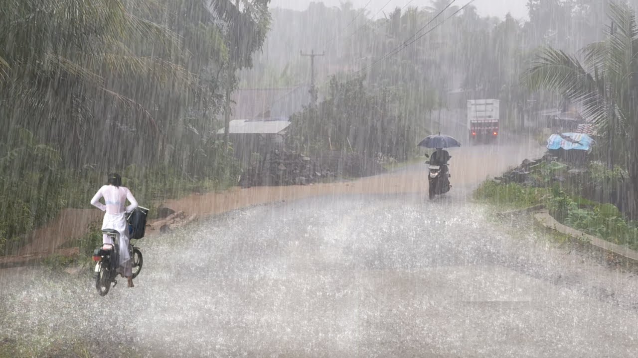 SCARY 🌧️ SUPER HEAVY RAIN AND STRONG WIND MAKES ME TREMBLE - RAIN ...