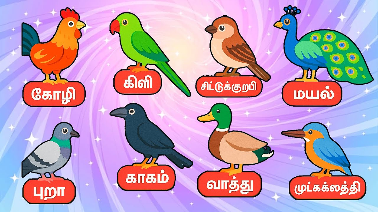 பறவைகளின் பெயர்கள் | Birds name Tamil and English | kids educational ...