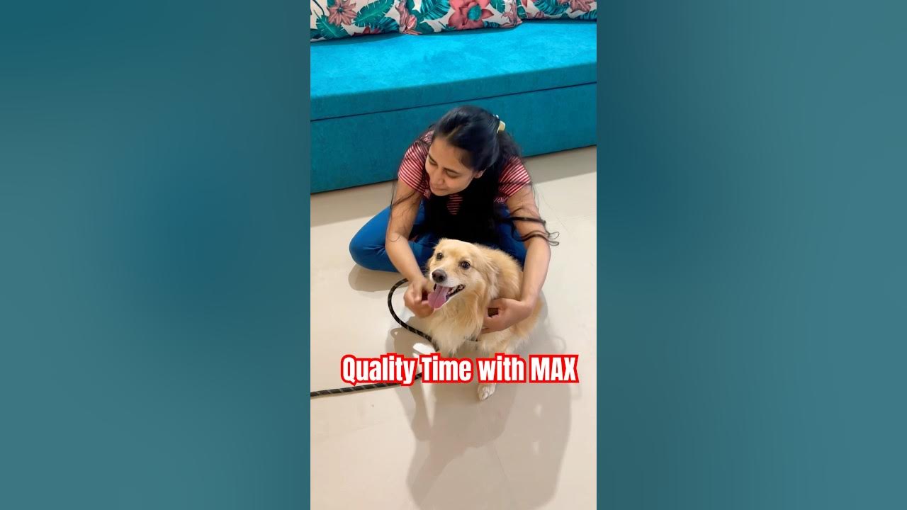 Quality time with MAX #happytimes - YouTube