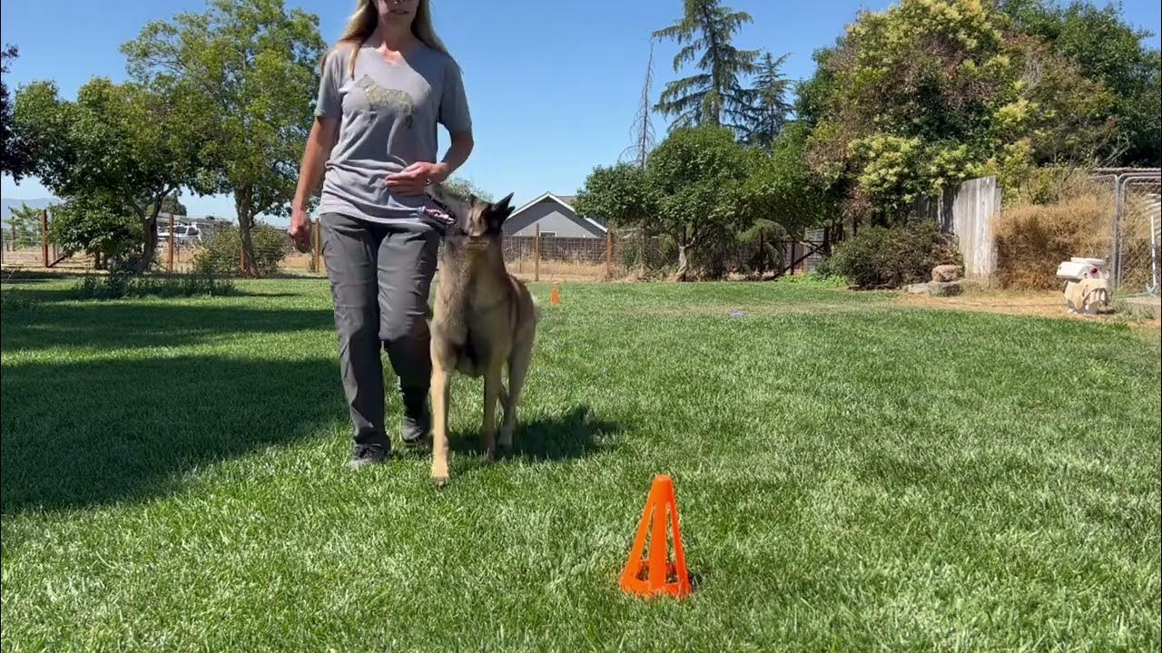 Wk Six Baseline comparison - YouTube