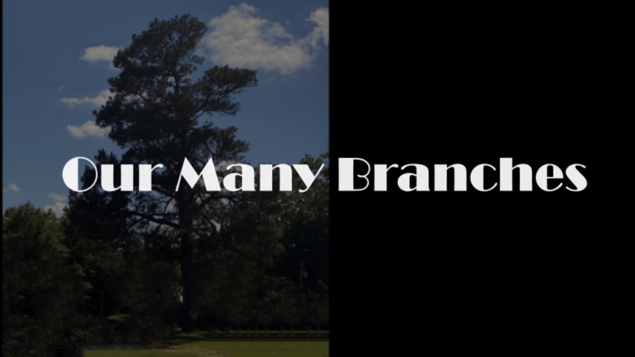 Robert Sambo Tyson (1858 1950) - YouTube