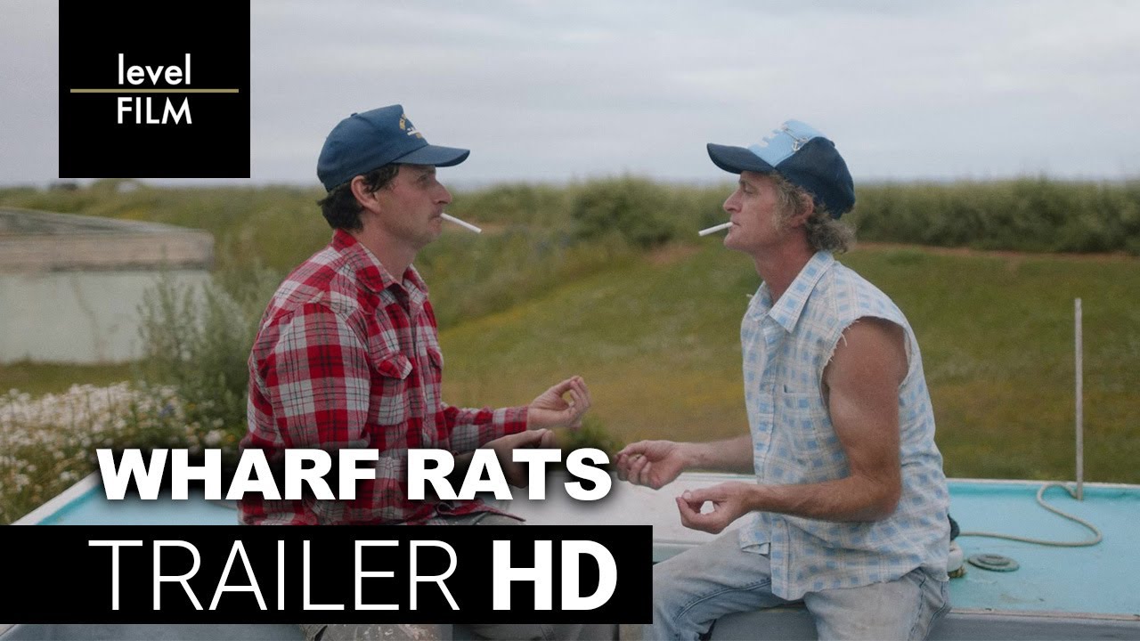 Wharf Rats | Official Trailer - YouTube