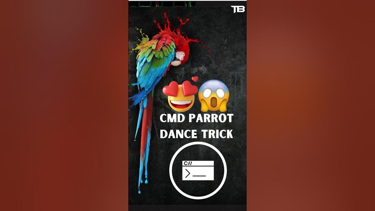 CMD Parrot Trick #tech #techbox #hacks - YouTube