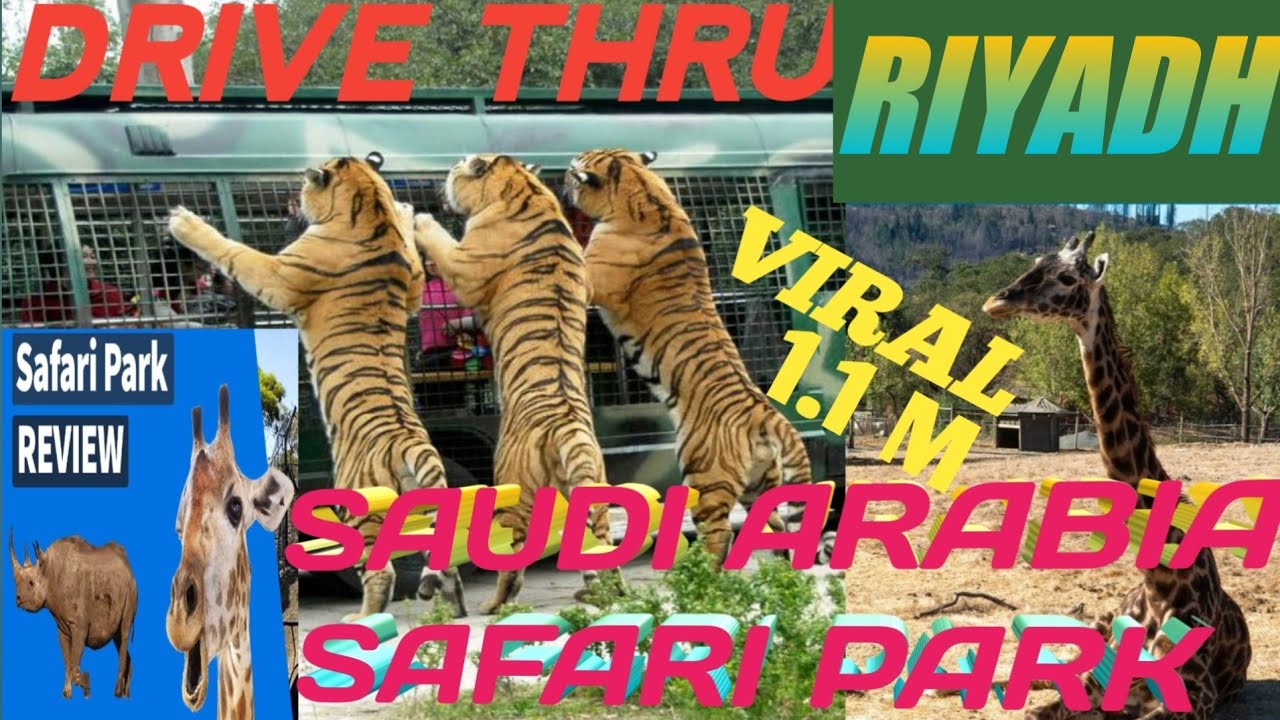 RIYADH SAFARI PARK 🏞 NOFA WILDLIFE PARK - YouTube