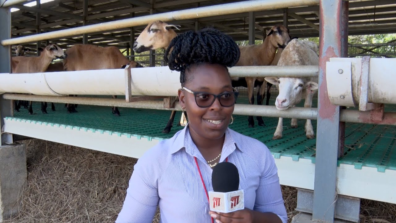 Generation Next - YAHP Students Work Towards Sustainable Agriculture ...