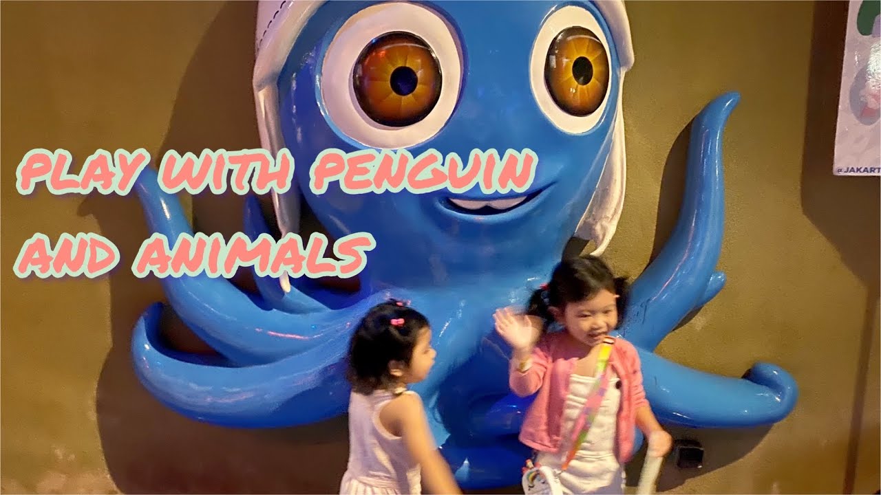 Bermain Dengan Pinguin dan Ular - Play with Penguin, Snake and Other ...
