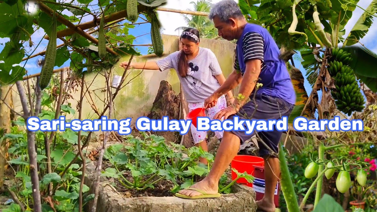Fresh Tilapia Fish & Sari-saring Gulay Harvest From Our Backyard Garden ...