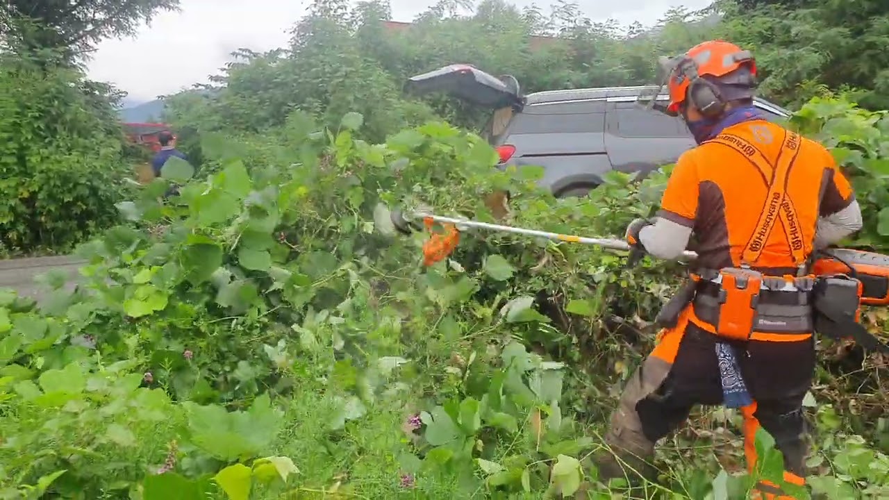 HUSQVARNA TRIMMER HEAD TRI CUT TEST 허스크바나 트라이컷 안전날 벌초대행 테스트 - YouTube