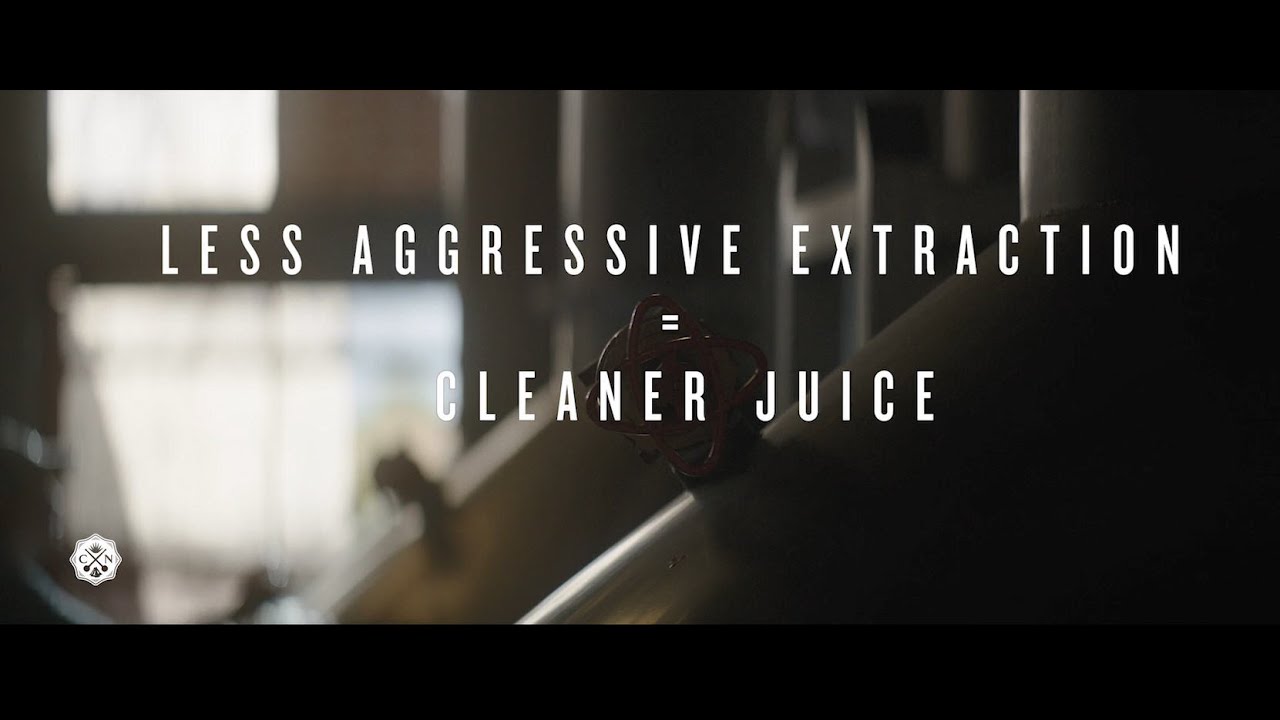 Casa Noble: Juice Extraction - YouTube