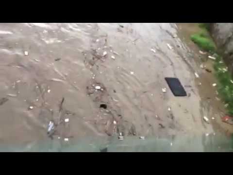 râul săsar din baia mare - YouTube