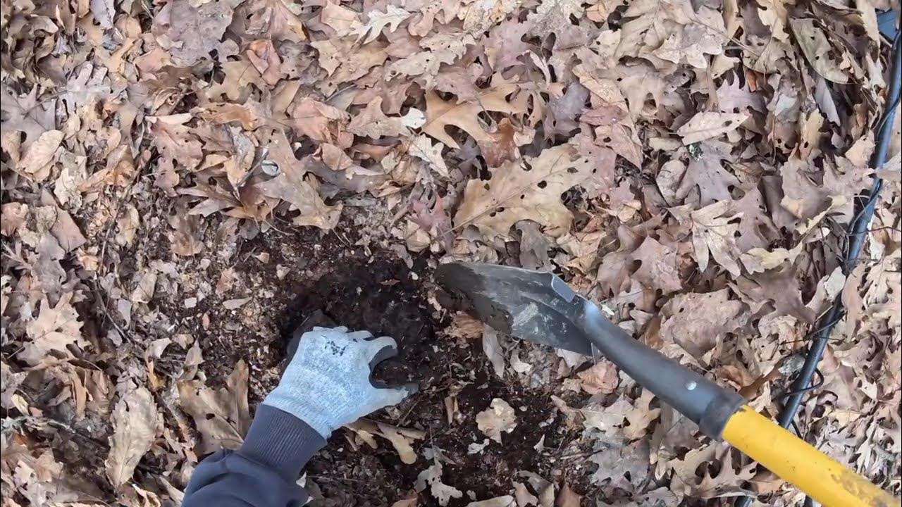 Metal Detecting a Pennsylvania Park | POV March 24, 2025 - YouTube
