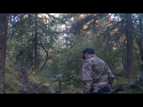 ‘Dogman’ Photos And Numerous New Witnesses - YouTube