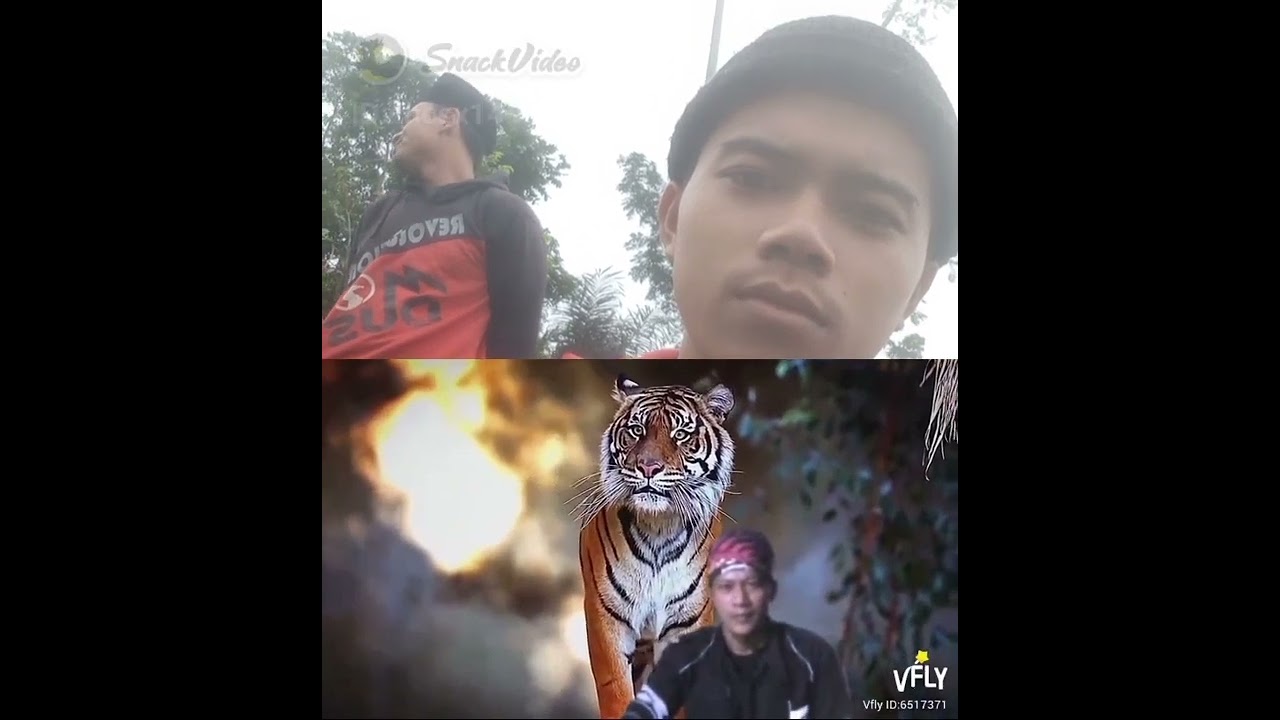 20220831 162958513 mp4 play mp4 logo ID ramdan sidik maung putih - YouTube