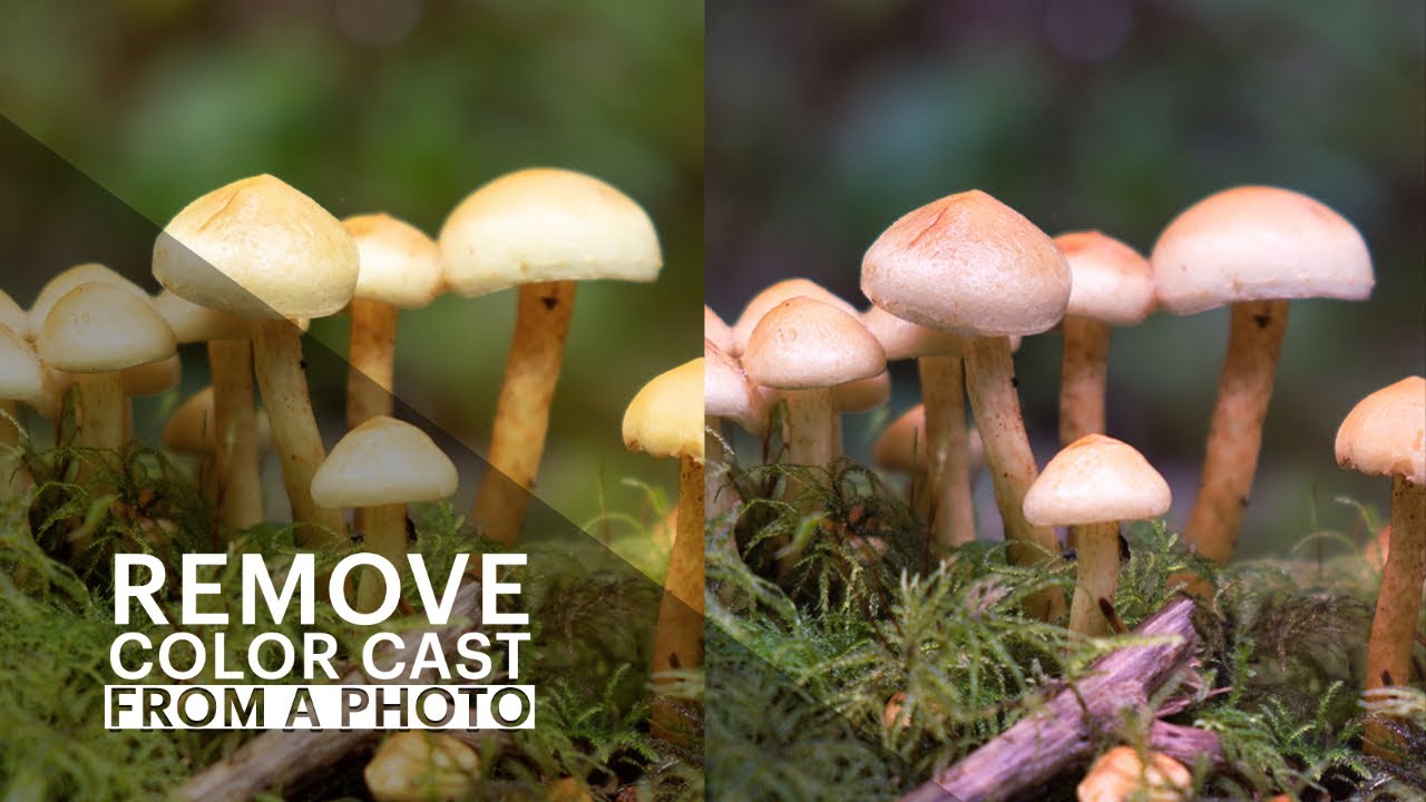 Remove Color Cast from a Photo - YouTube