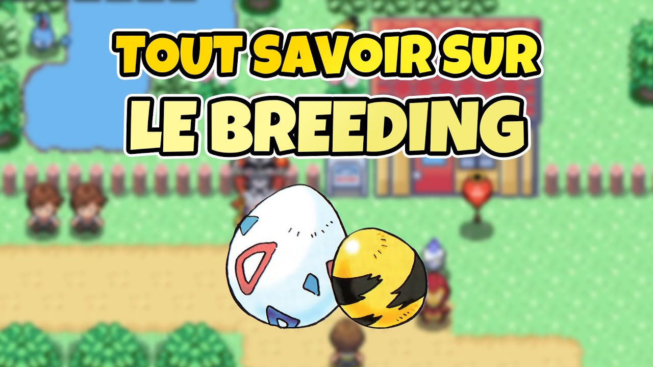 TOUT savoir sur le BREEDING dans PokéMMO : créer un Pokémon parfait ...