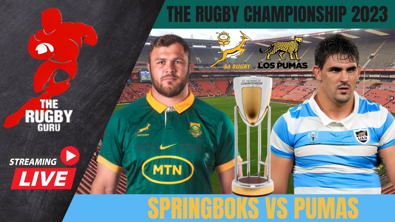 SPRINGBOKS VS ARGENTINA 2023 LIVE COMMENTARY (RUGBY CHAMPIONSHIP) - YouTube