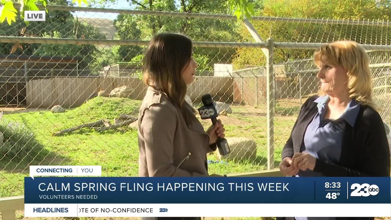 CALM Spring Fling in need of volunteers - YouTube