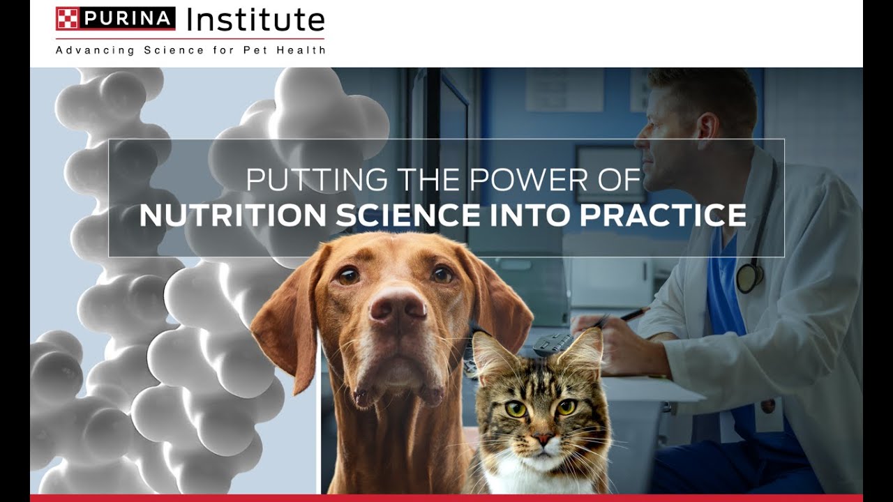 Putting the Power of Nutrition Science Into Practice - YouTube