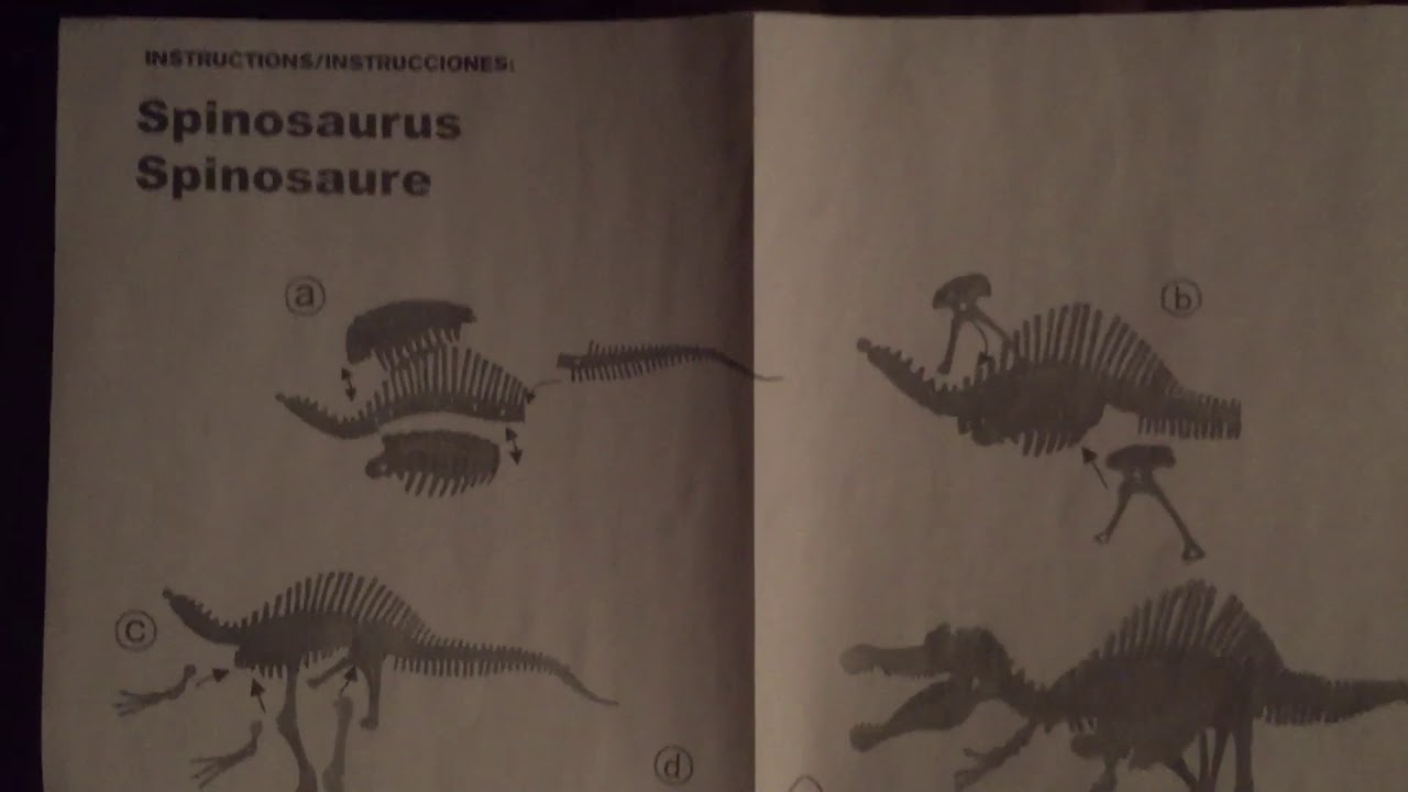 Montoy Glo In The Dark 3D Dinosaur Puzzle YouTube montoy-glo-in-the-dark-3d-dinosaur-puzzle-youtube