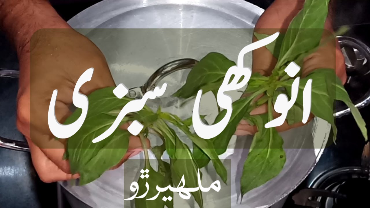 Anokhi Sabzi Recipe | A Unique Vegetable Recipe By pappanskitchen ...