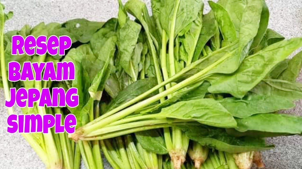 MASAK BAYAM JEPANG MUDAH DAN ENAK || TUMIS BAYAM ALA CINA || SIMPLE ...
