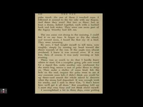 The Cay Chapters 16 and 17 - YouTube