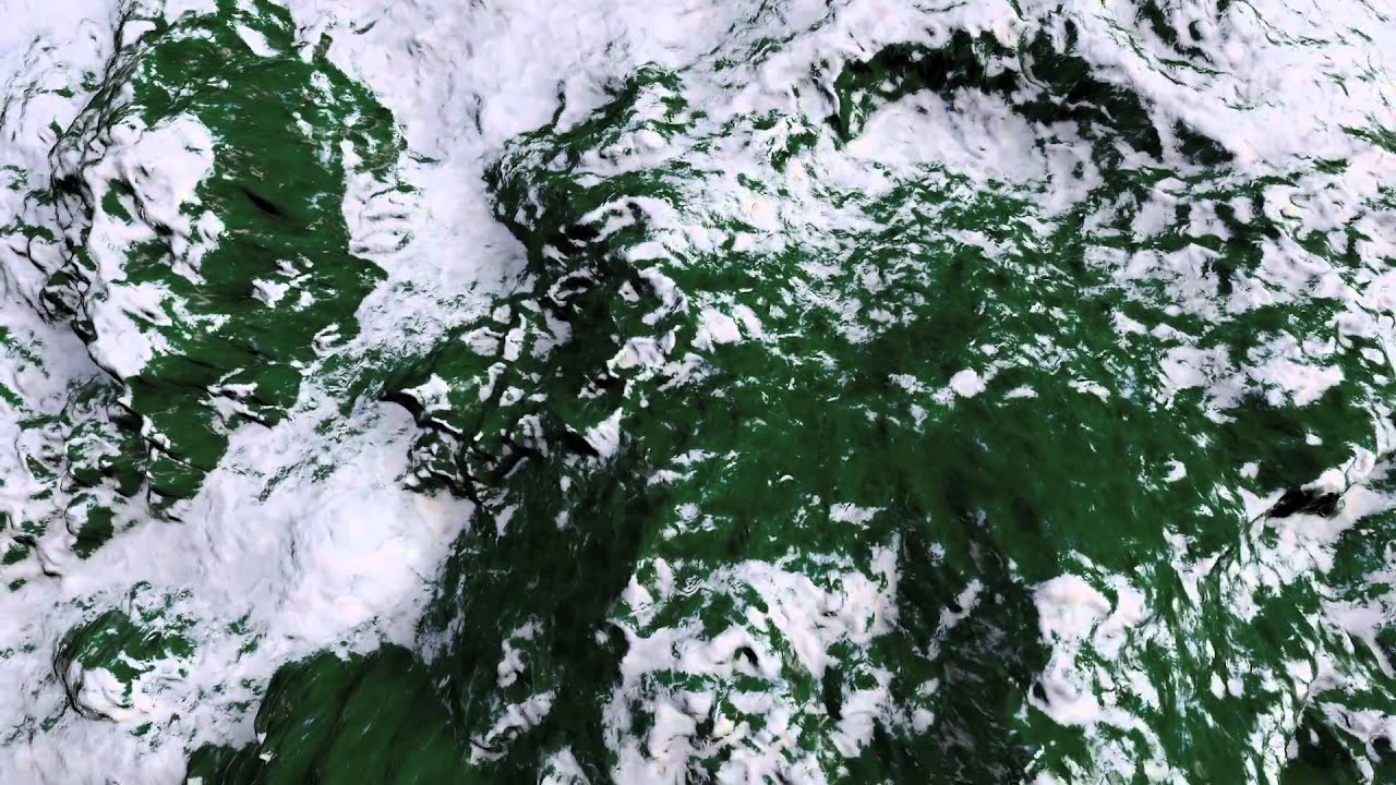 Google Jungle - YouTube