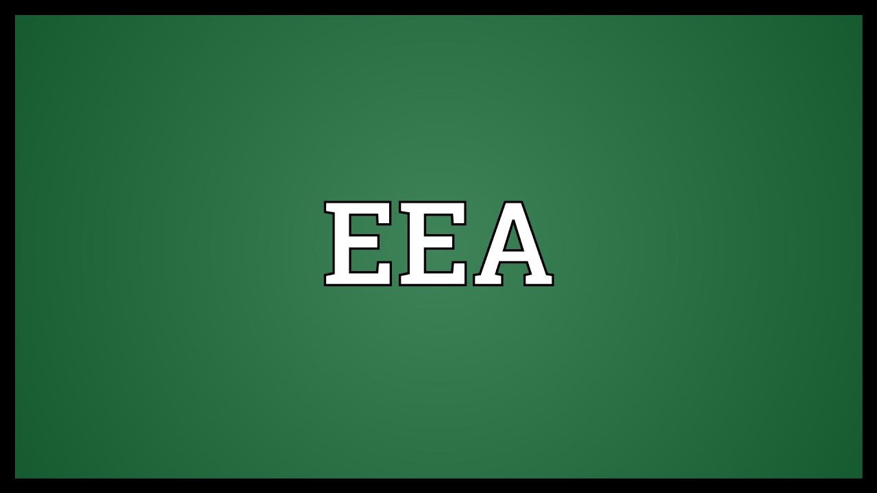 EEA Meaning - YouTube