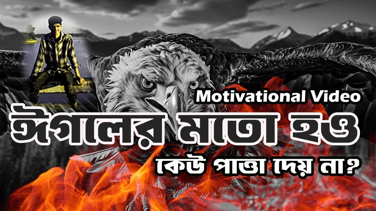 The Eagle Mindset Focus, Strength, and Success by Angry Vibe - YouTube