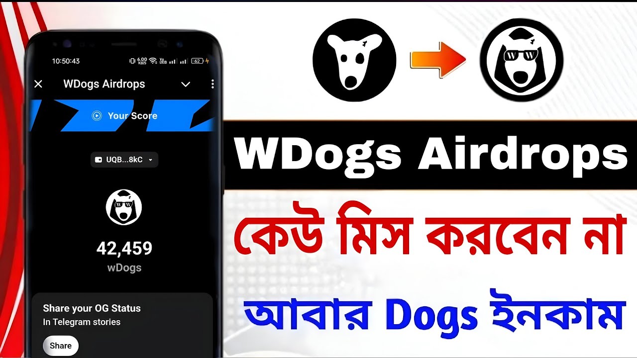 WDogs Airdrops | wDogs Airdrop Connect | A to Z এক ভিডিওতেই সবকিছু ...