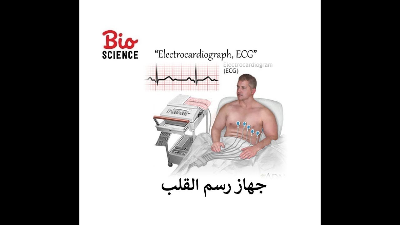 ECG شرح تصميم جهاز رسم القلب - YouTube