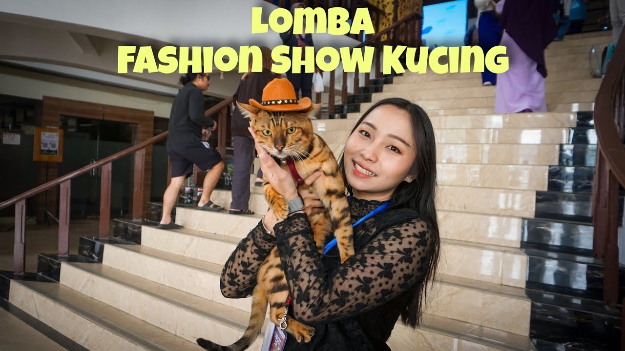 Lomba Fashion Show Kucing di Acara Fun Cat Show Vol.2 - YouTube