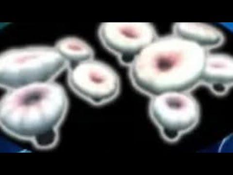 Hongos de profundidades tutorial - YouTube