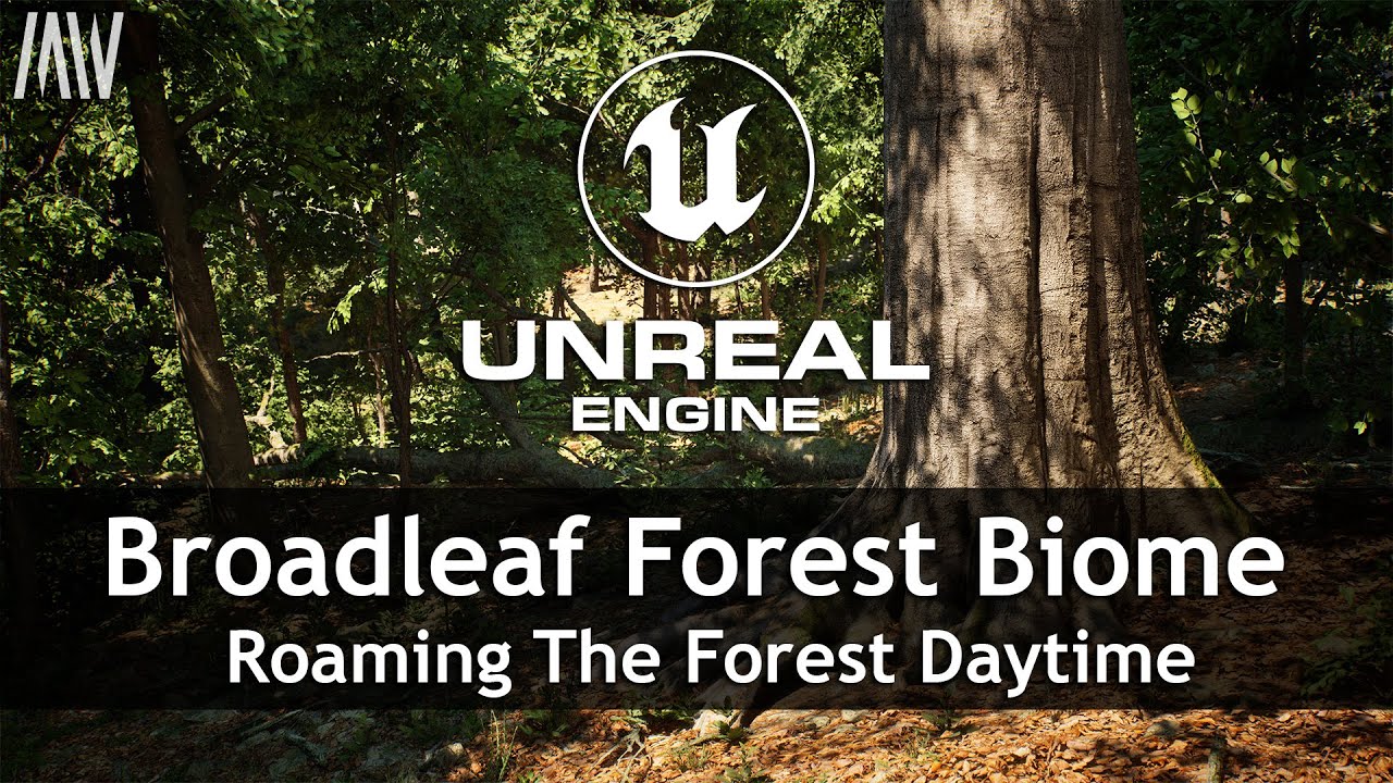 Mawi Broadleaf Forest Unreal Engine 5 Roaming The Forest Daytime Unrealengine Ue5 Gamedev