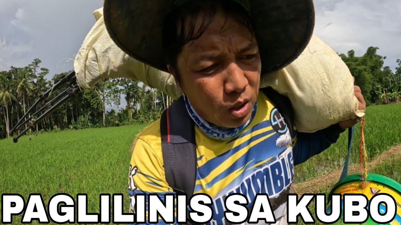 Posibleng tirahan ng mga malaking ahas ito Paglilinis ng kubo para iwas ...