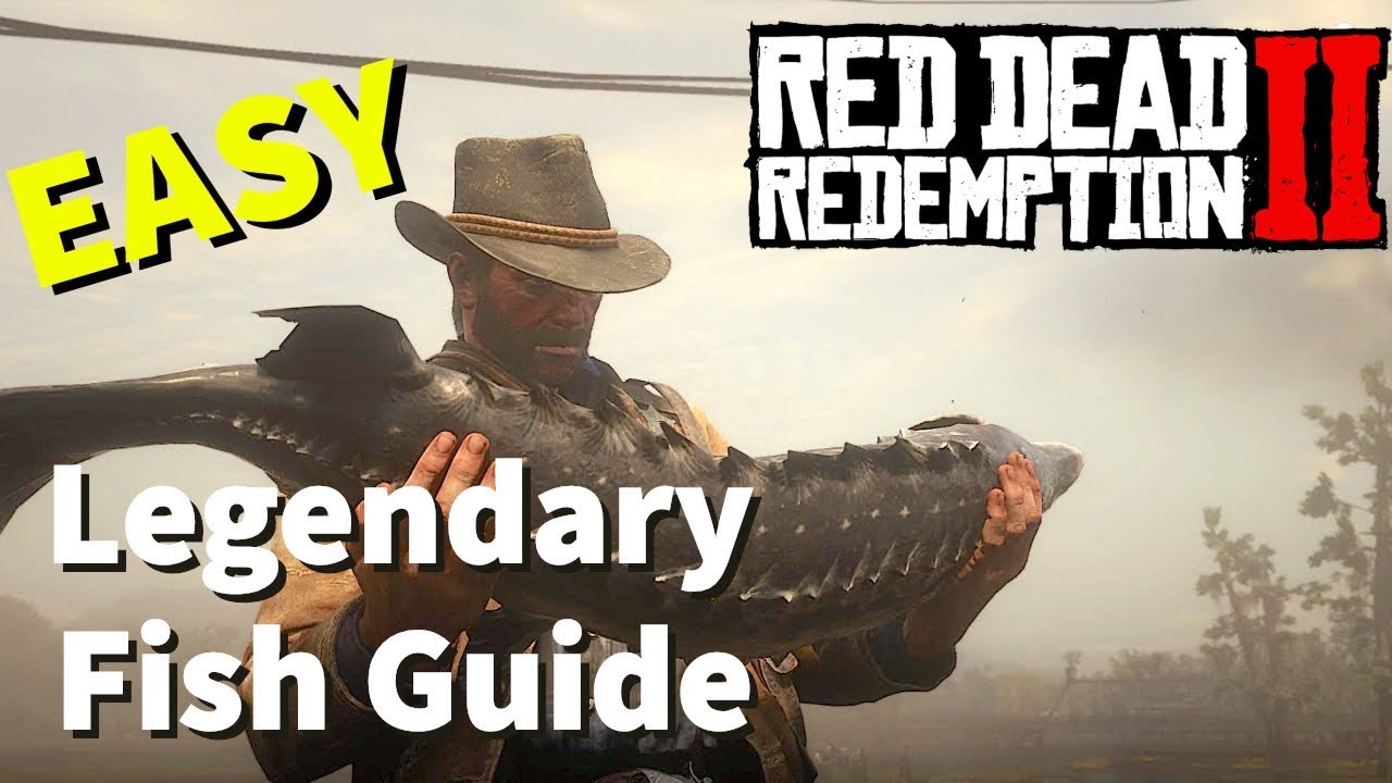 *EASY Red Dead Redemption 2 Legendary Fish Guide - YouTube