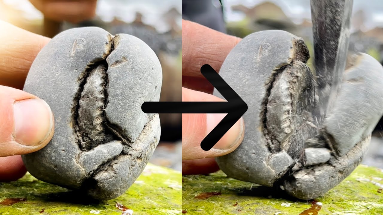 CRYSTAL Fossils! Plus Cracking ROCKS For Fossils! | Fossil Hunter - YouTube