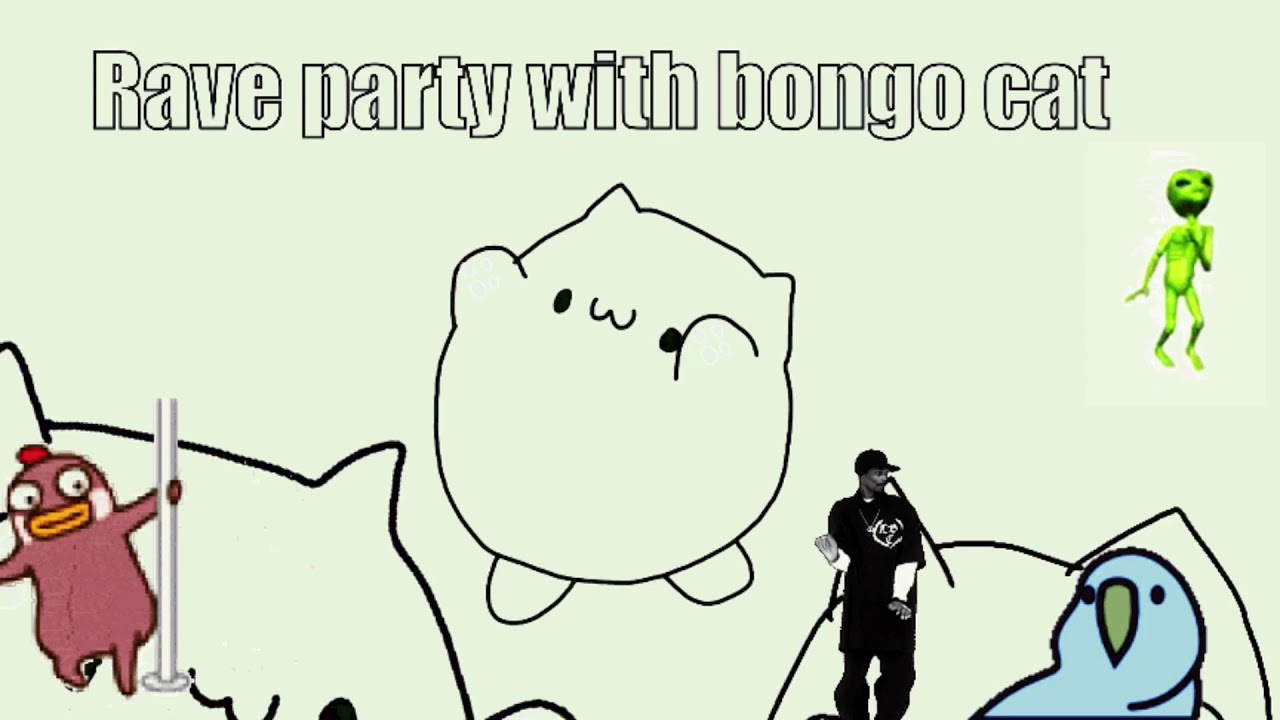 Bongo cat memes - YouTube