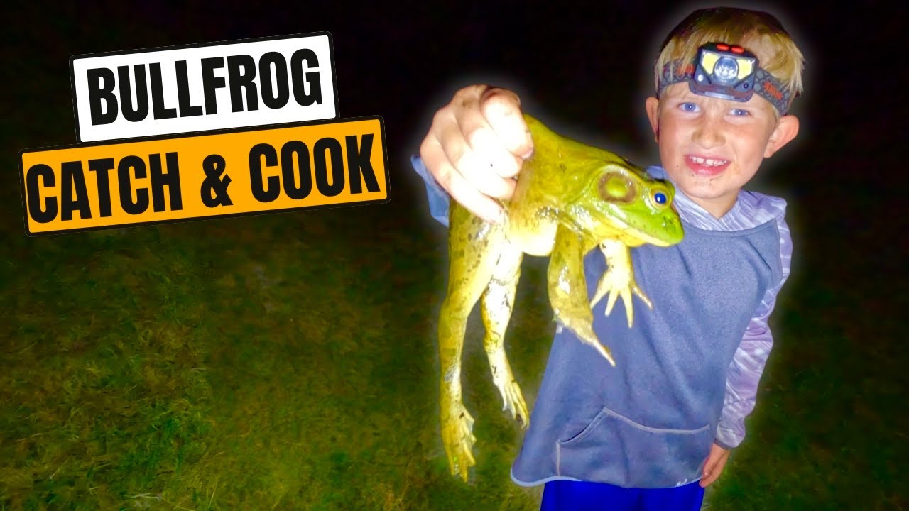 Campground LOADED with BULLFROGS | how to hunt bullfrogs Catch & Cook ...