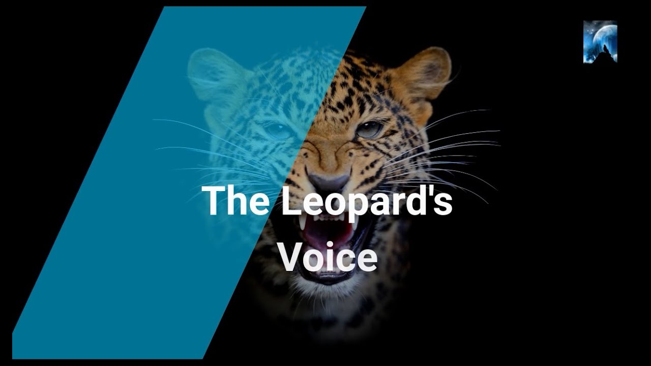 The Leopard's Voice - YouTube