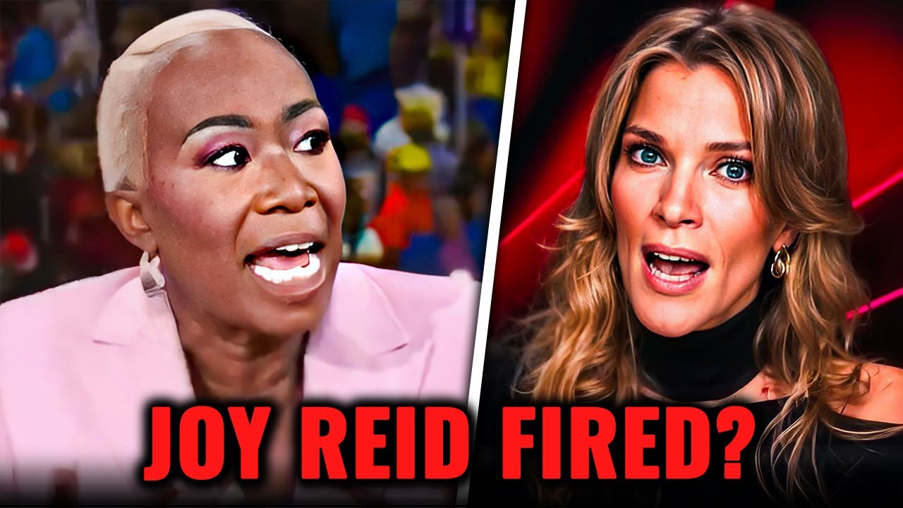 Joy Reid DESTROYS Her Own Career With THIS Controversial Statement ...