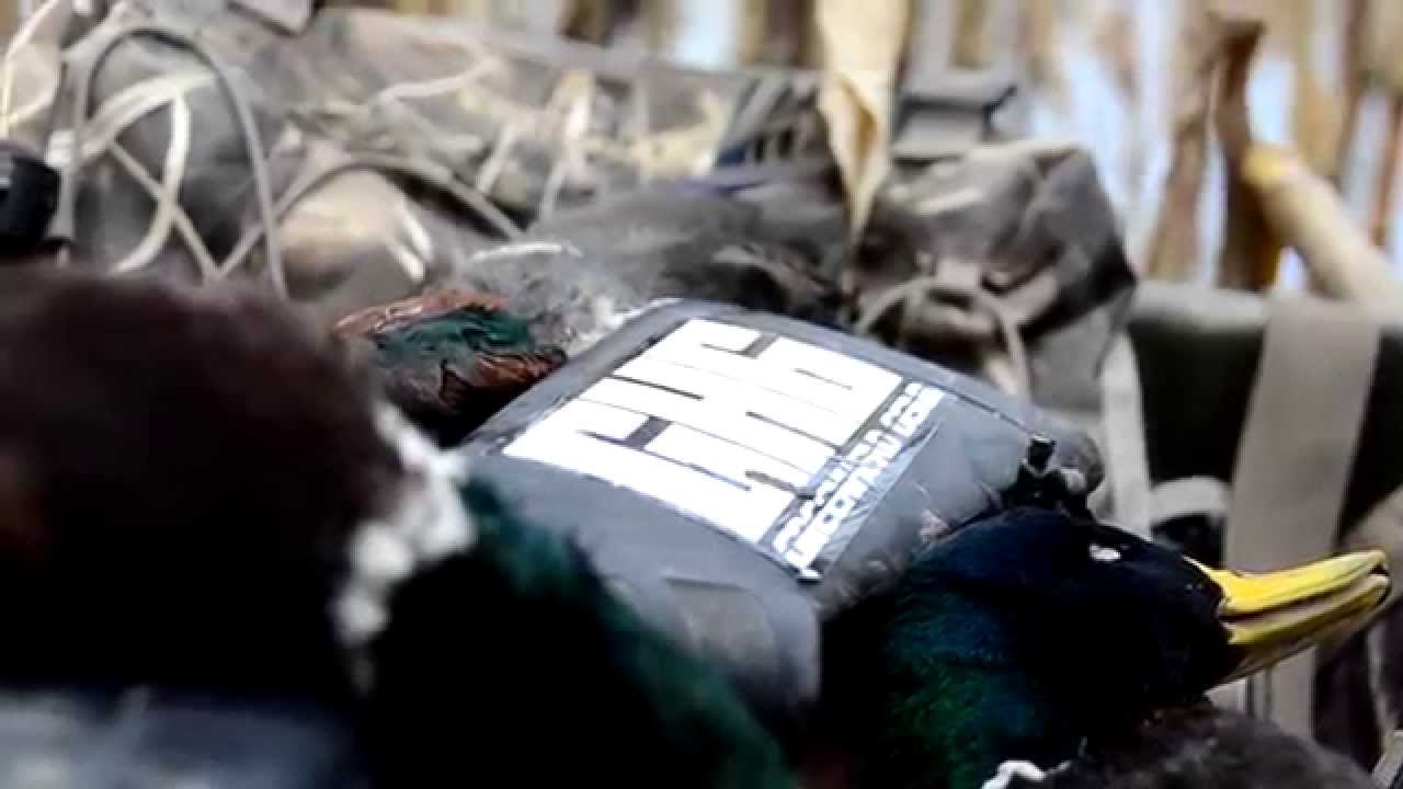 Eagle Bluffs Duck Hunt - YouTube