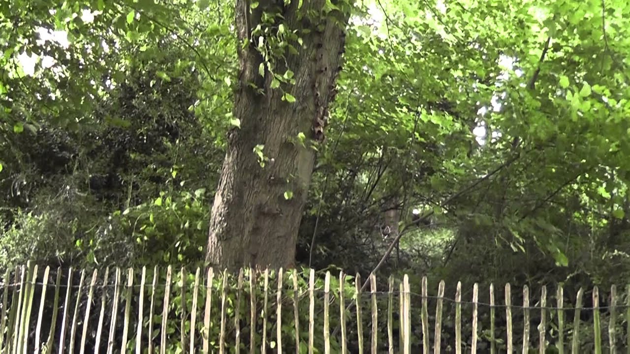 Headingley Castle and the old sheep grange meadow. - YouTube