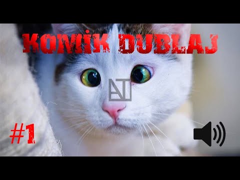 Hayvanlar Alemi ( KOMİK DUBLAJ) #1