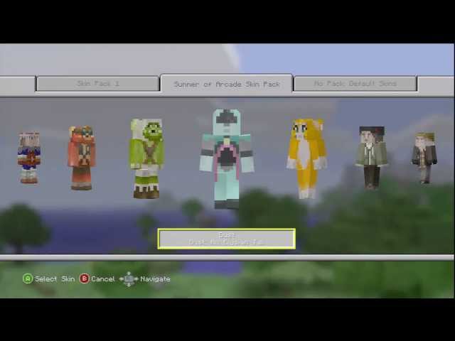 Summer Of Arcade Minecraft Skin Pack Fidget