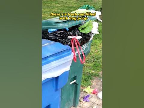 trash can song - YouTube