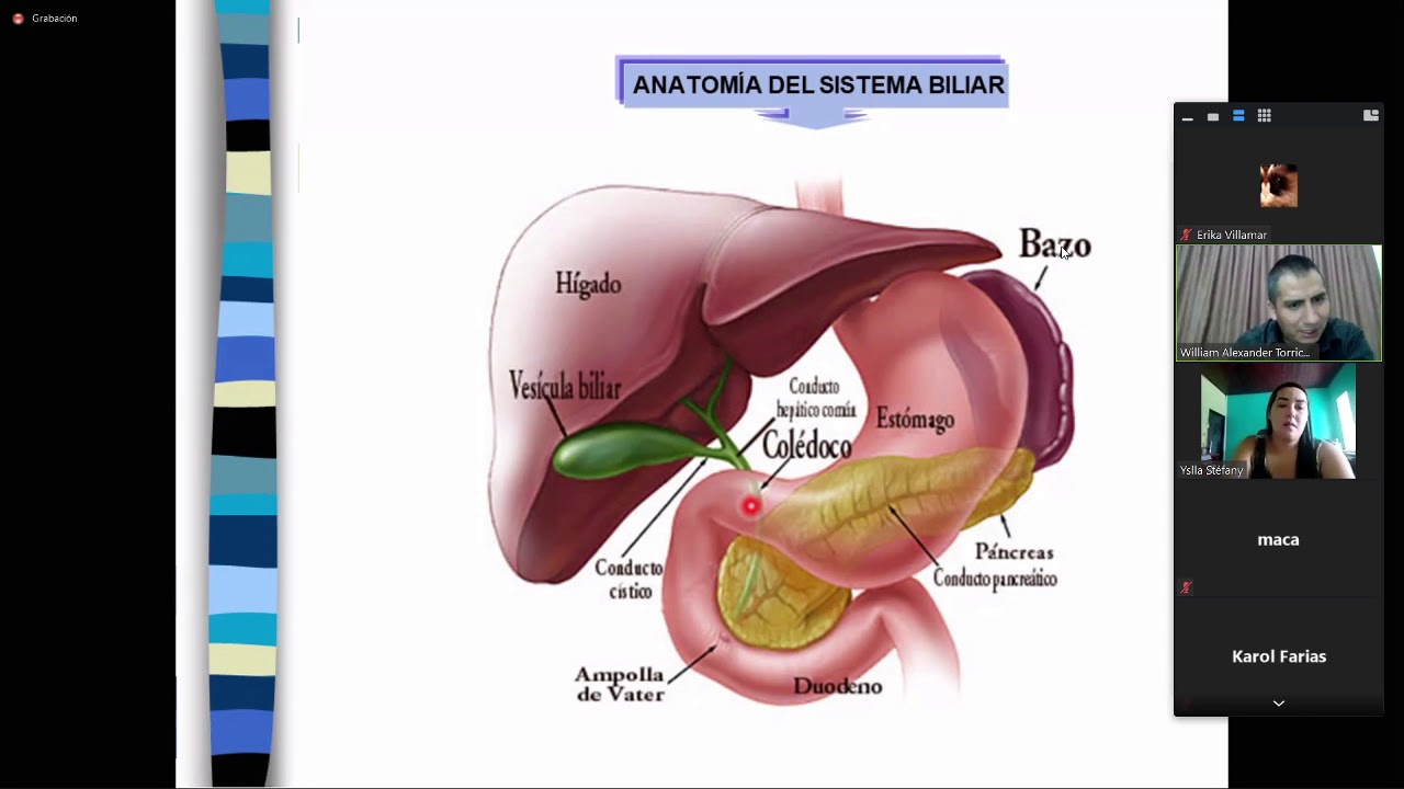 Patología de las vias biliares, obstrucción intestinal y quemaduras ...